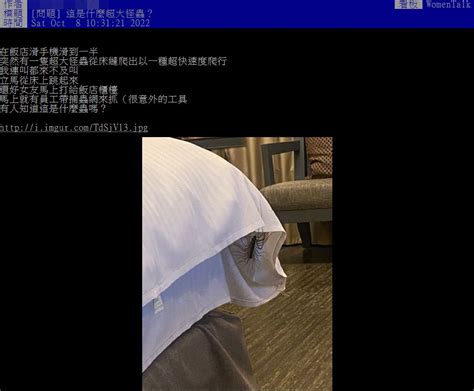飯店驚見30隻腳「巨型怪蟲」！高速爬行嚇歪情侶 網解答：是益蟲 Ettoday生活新聞 Ettoday新聞雲