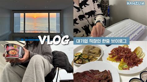 Vlog 새해 갓생을 위한 2023년 마무리 대기업 직장인 브이로그 교대근무 캠핑 새해 다짐 어글리어스 야채 정기배송 낙곱새 배추 스테이크