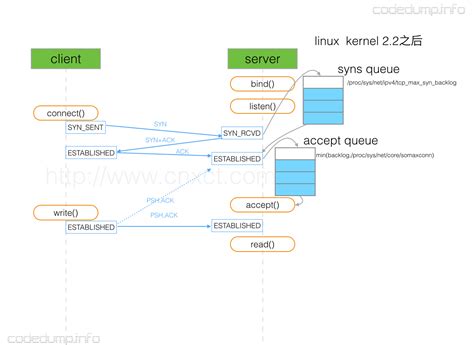 Tcp协议笔记 Codedump的网络日志