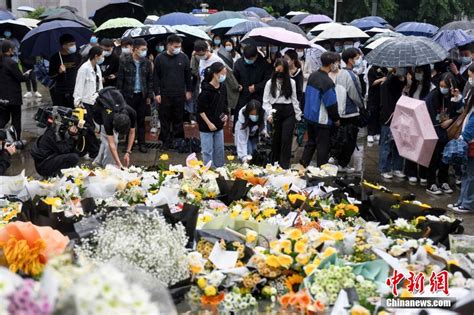 民众排长龙雨中悼念袁隆平 5