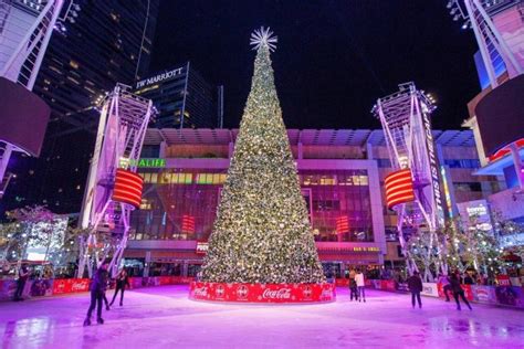 Build A Skating Rink Business From Scratch Getwox