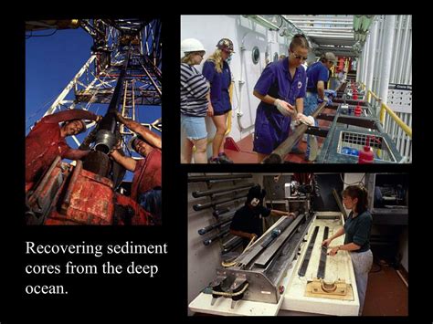 Ppt Marine Microfossils Powerpoint Presentation Free Download Id 150418