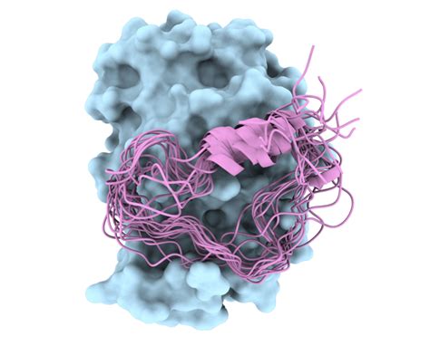 Early Career Researcher Meeting 10 June 2024