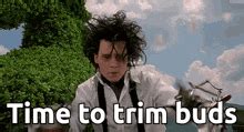 Trim Meme Trim Discover Share GIFs