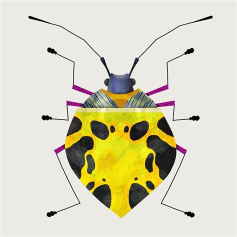 Insect Art Insect Art Projects Bug Art