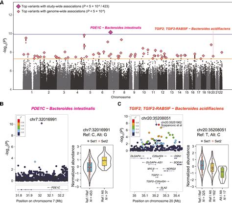 Analysis Of Gut Microbiome Host Genetics And Plasma Metabolites