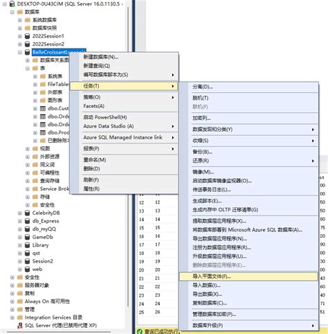 Sqlsever将csv文件中的数据导入数据库中的某个表中的操作以及可能会出现的报错 小邱九九 博客园
