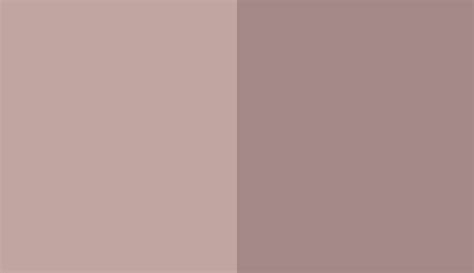 Benjamin Moore Monet 1243 Vs Sherwin Williams Rosaline Pearl Sw 9077