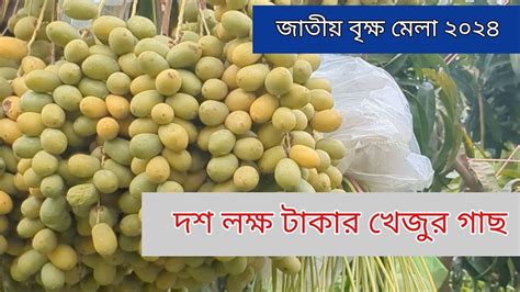 বৃক্ষ মেলার ১০ লক্ষ টাকার সৌদি খেজুরের গাছ। Youtube