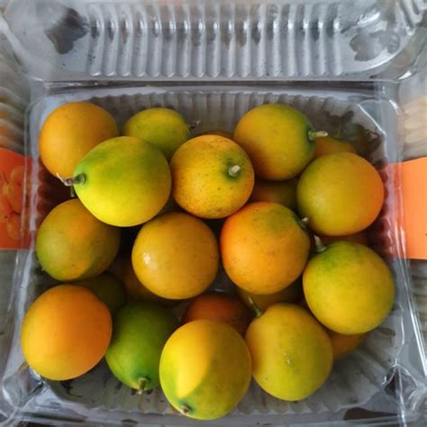 Jual Jeruk Kimkit Madu Kumquat Fresh Per Pack Indonesia Shopee Indonesia