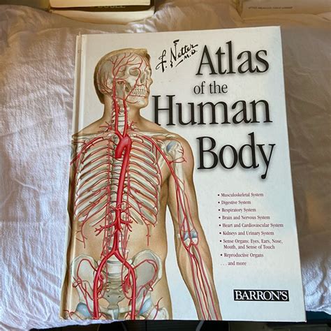 Netters Atlas Of The Human Body By Frank H Netter