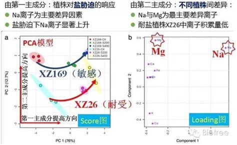 百趣代谢组学文献分享大麦盐胁迫响应机制的组学分析 知乎