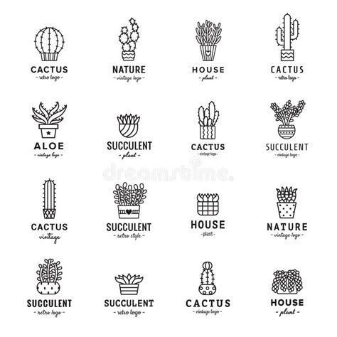 Sistema Negro Del Vector Del Logotipo De Los Succulents Y De Los Cactus