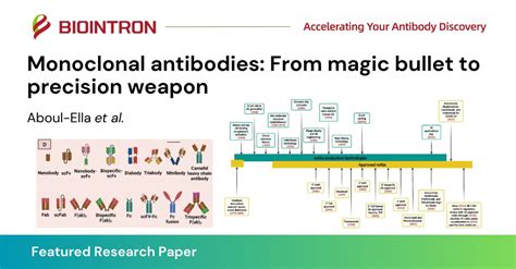 Biointron On Linkedin Monoclonal Antibodies From Magic Bullet To