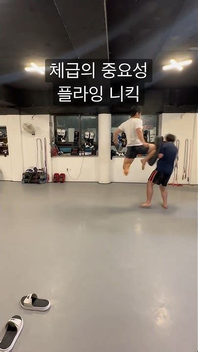 플라잉 니킥 체급의중요성 킥복싱격투기 Korea Kickboxing Youtube