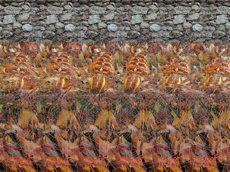 Roumenův Rouming Zábavné A Zajímavé Obrázky Poradnej Stereogram