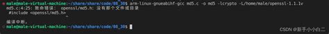 Openssl库交叉编译，最详细！openssl 交叉编译 Csdn博客