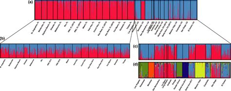 structure plots for microsatellite data where each vertical bar