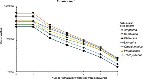 Number Of Putative Loci Highly Conserved Loci Shared Among Taxa