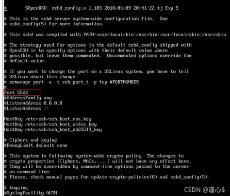 centos8 ssh链接不上之防火墙端口未开放 centos8 ssh连不上 csdn博客