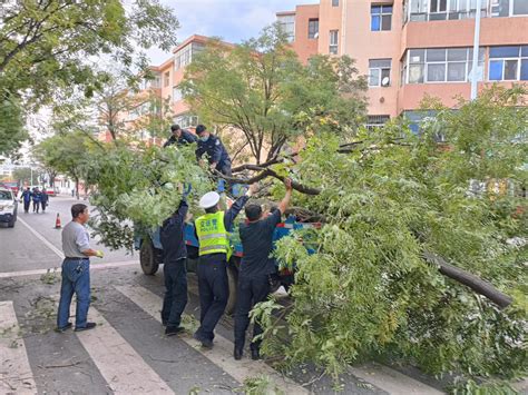 惠农交警修剪遮挡树枝 消除安全隐患