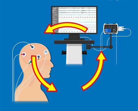 Neurofeedback Loop East Coast Neurofeedback Services Llc