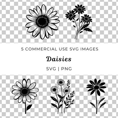 Daisy Flower Vector Daisy Clipart Svg Floral Daisy Svg Summer Daisy