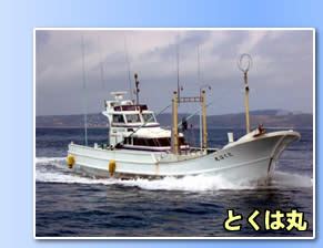 船の紹介 和歌山 椿 釣り船 とくは丸
