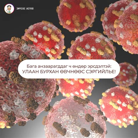 Эмчээс Сүүлийн жилүүдэд дархлаажуулалтын түвшин буурснаар улаан бурхан Measles хэмээх