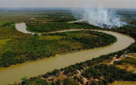 Fogo no Pantanal ameaça parque maior população de onças pintadas do