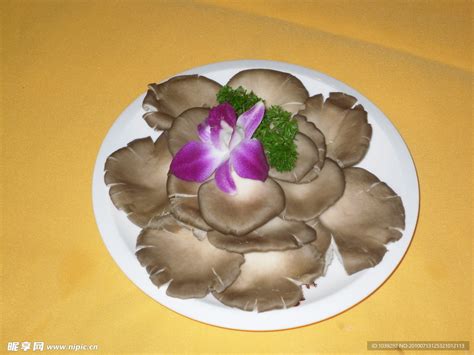 火锅平菇摄影图 食物原料 餐饮美食 摄影图库 昵图网