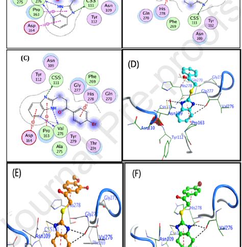 Two Dimensional Ligand Interaction Diagrams Of The Compounds