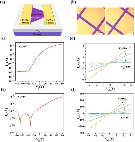 Electrical Measurement Of Monolayer Moxw1−xs2yse21−y A Schematic