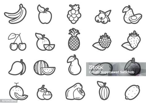 水果線圖示集向量圖形及更多菠蘿圖片 菠蘿 黑莓 插圖 Istock