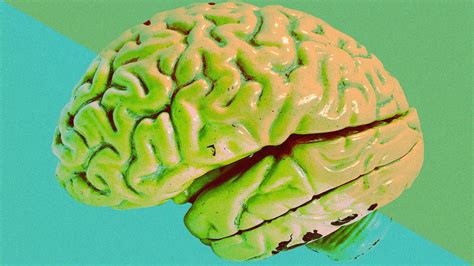 Forget What You Think You Know About The Differences Between Male And Female Spacial Skills