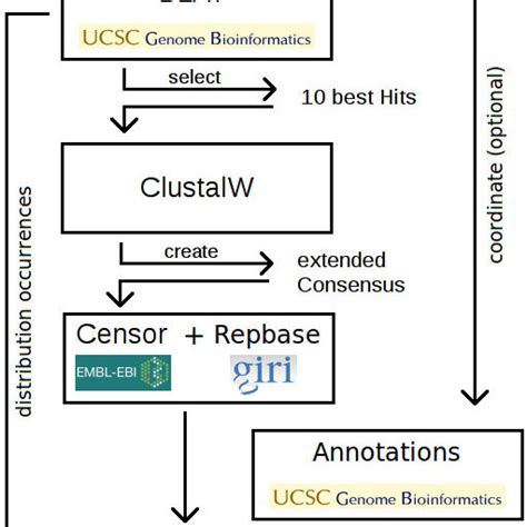 Ncrnaclassifier Computational Pipeline Giving A Ncrna Candidate The Download Scientific