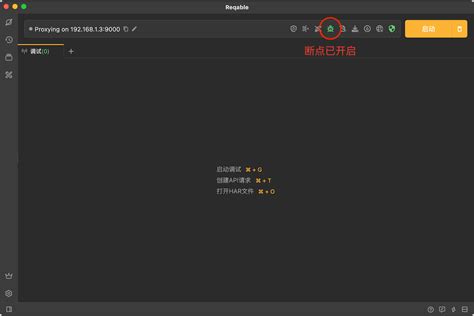 断点 Reqable API抓包调试 API测试一站式工具