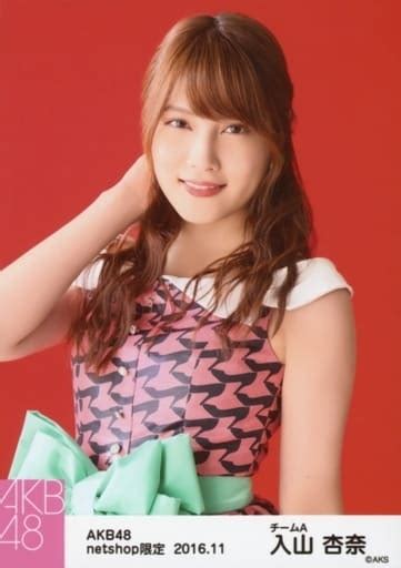 駿河屋 入山杏奈上半身akb48 2016年11月度 Net Shop限定個別生写真「201611」「レトロワンピ」衣装（女性生写真）
