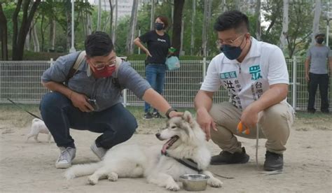 世界動物日為奴才請命！民眾黨選將呼籲社區廣設寵物公園 政治快訊 要聞 Nownews今日新聞