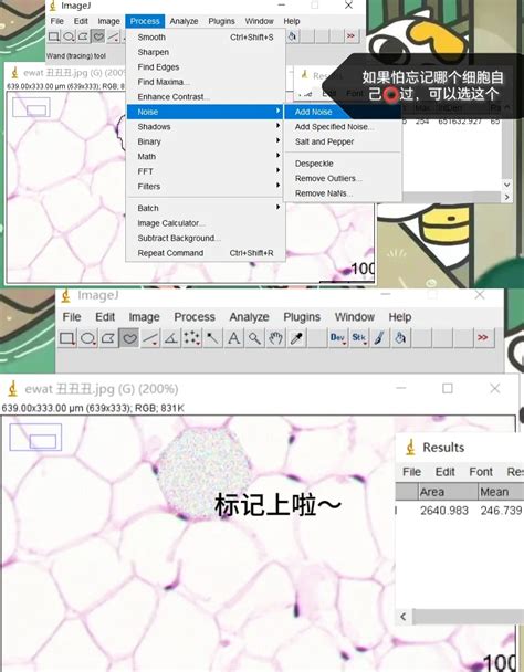 如何用imagej计算脂肪细胞面积