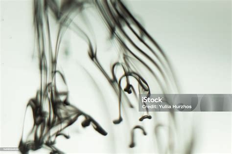 투명한 유리 컵에 담긴 잉크 구름과 빛의 광선 가운데 맑은 물 템플릿 레이아웃 배경 질감 매크로 확산 흑백 추상화 0명에 대한 스톡 사진 및 기타 이미지 Istock