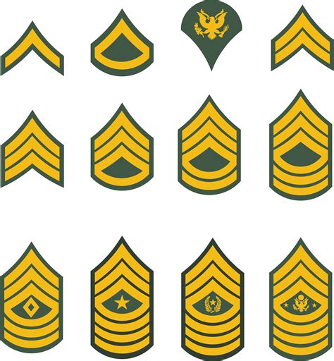 Premium Vector Us Army Enlisted Ranks Chevrons And Insignia