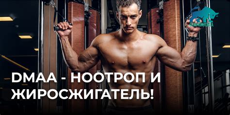 DMAA экстракт герани - препарат из групп жиросжигатели и ноотропы для ...