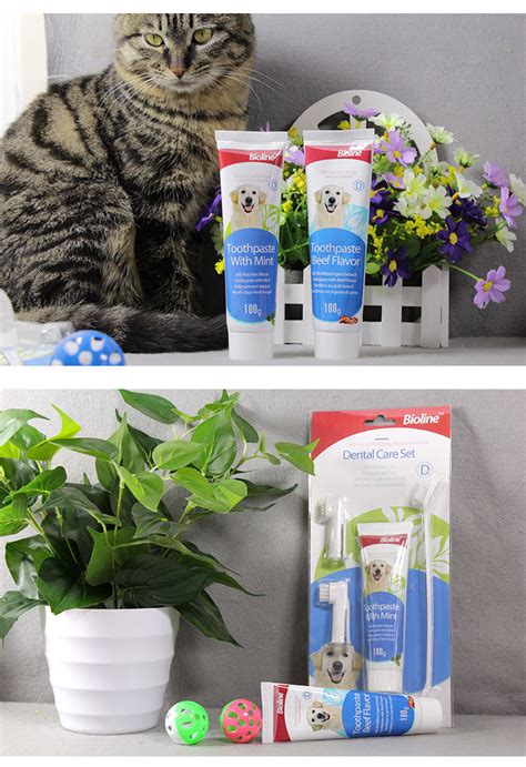 宠物牙膏套装狗狗牙刷口腔清洁用品泰迪犬猫刷牙 阿里巴巴
