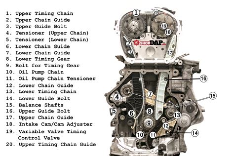 2 0t TSI TIming Chain Component Diagram For VW And Audi Articles