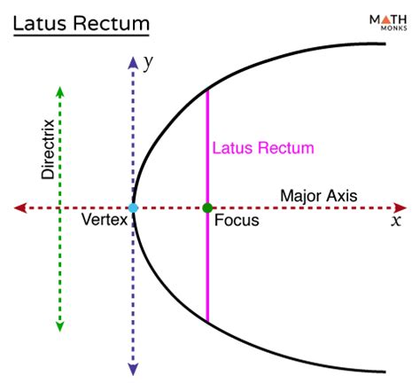 Latus Rectum Formulas Examples And Diagrams
