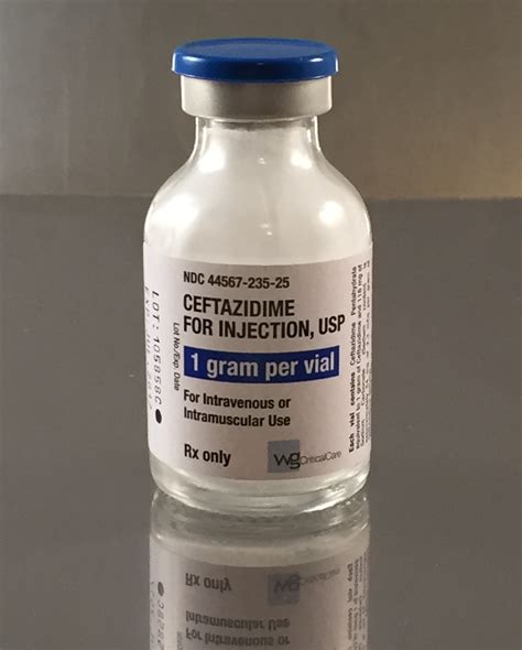 Ceftazidime For Injection For Dogs Cats And Reptiles