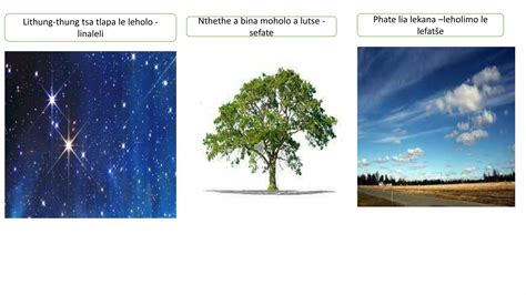 Lilotho Tsa Sesothopptx