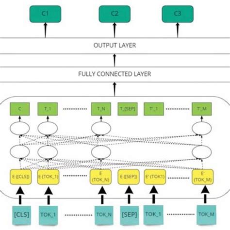 Input And Output Pattern O F Bert Model For Downstreaming Tasks A