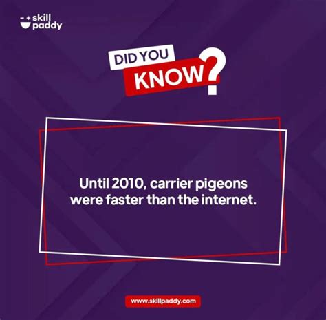 Skillpaddy On Linkedin Skillpaddy Tech Facts Techskills Internet